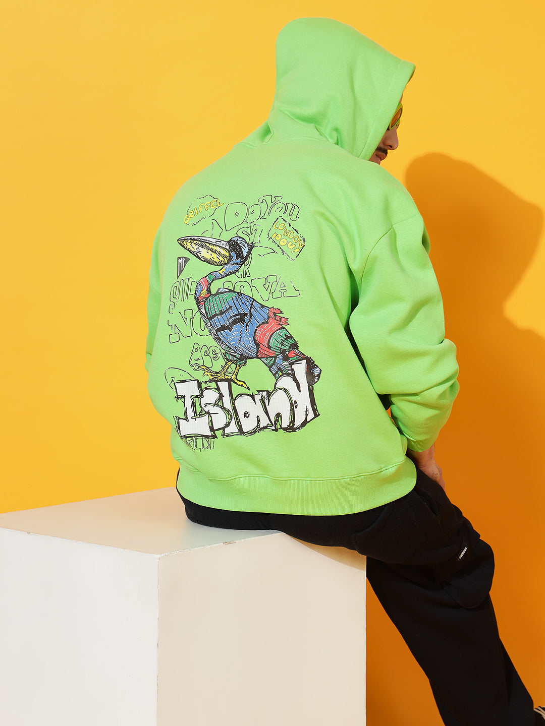 ISLAND BIRD Oversized Hoodie 🐦 – griffel